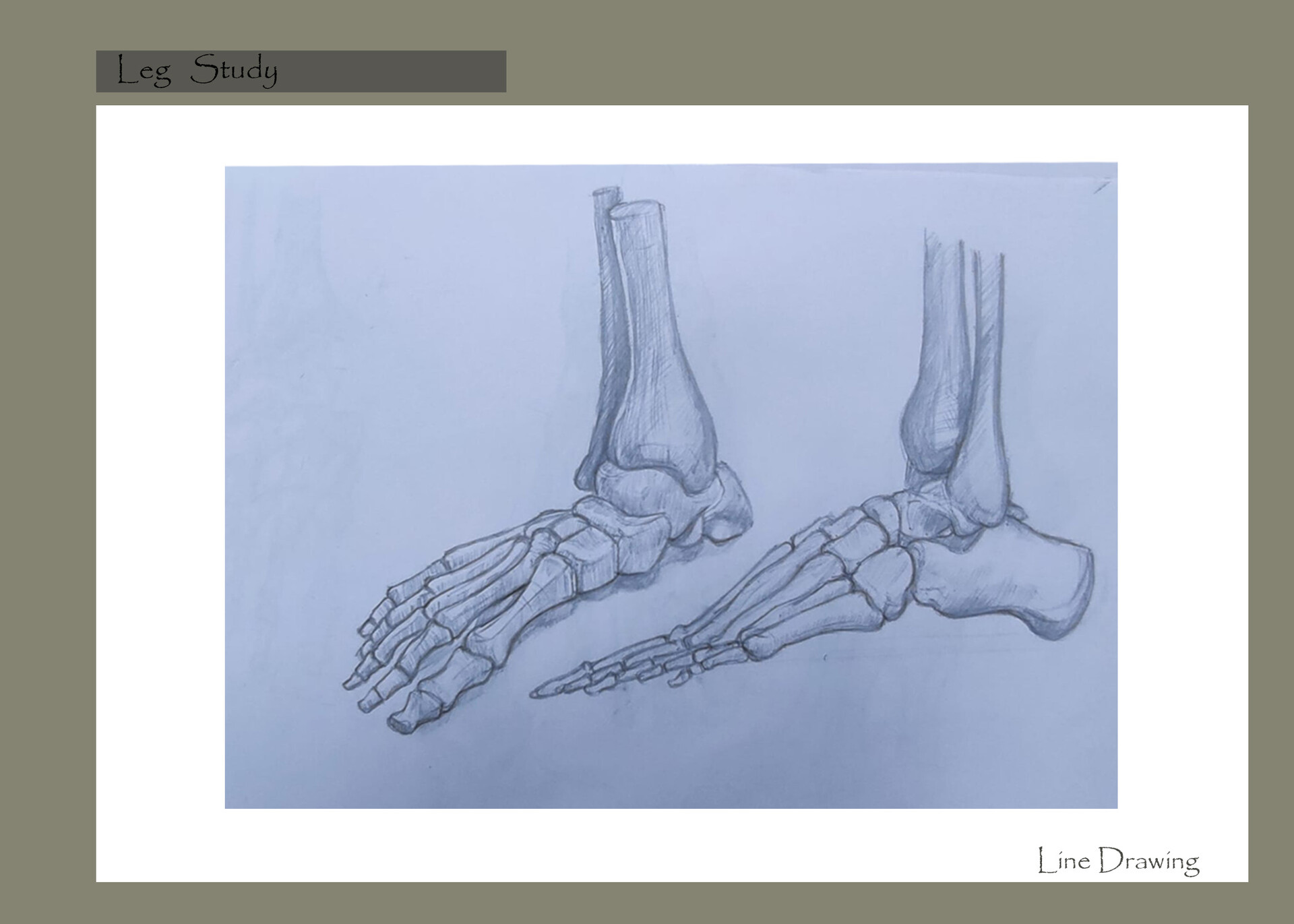 ArtStation - leg study