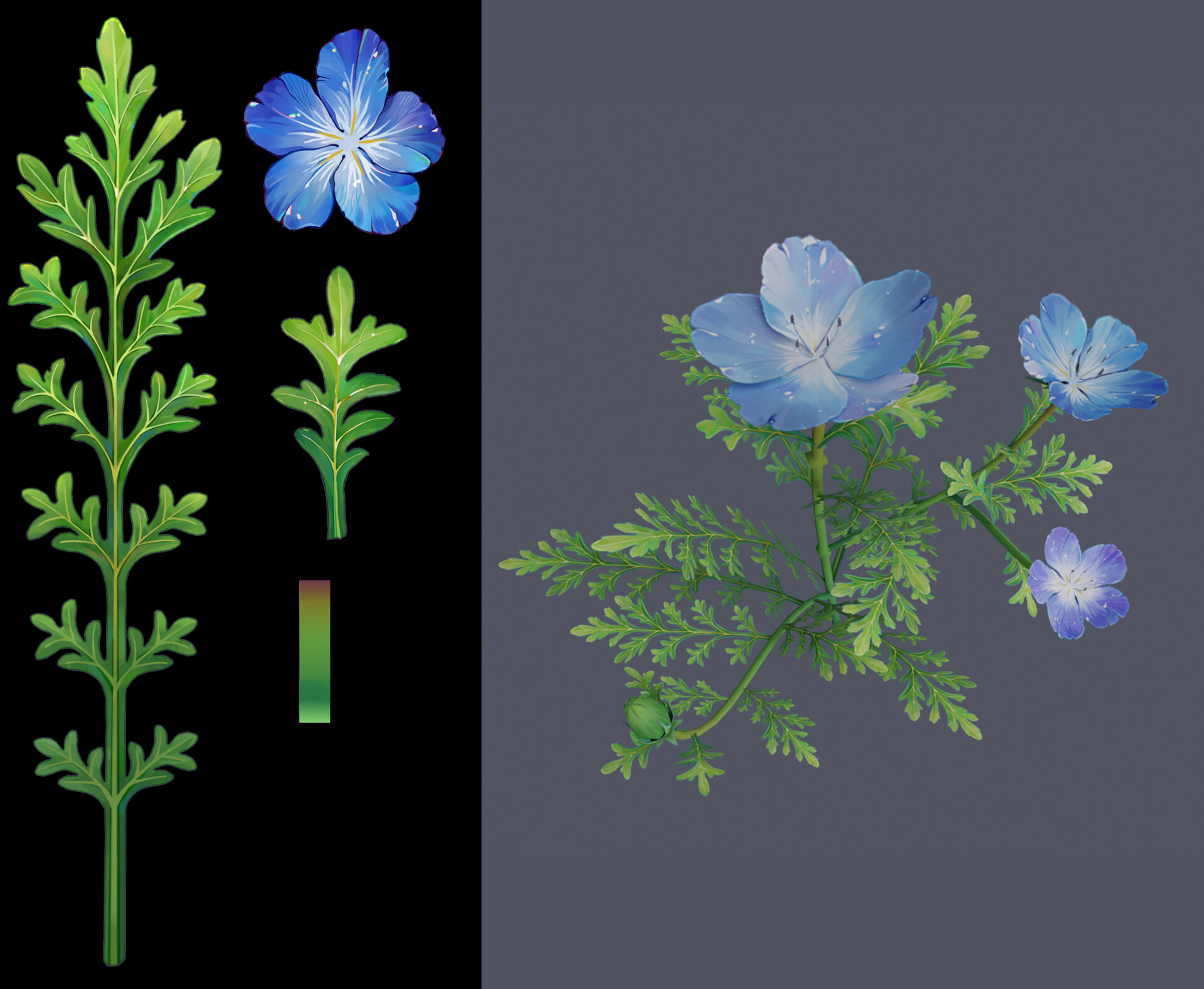 ArtStation - Nemophila menziesii