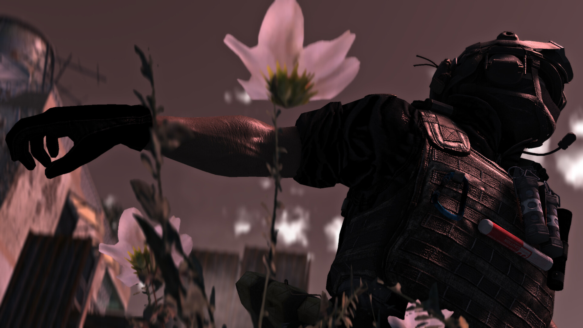 Politoo - IW3MW - WIP 2