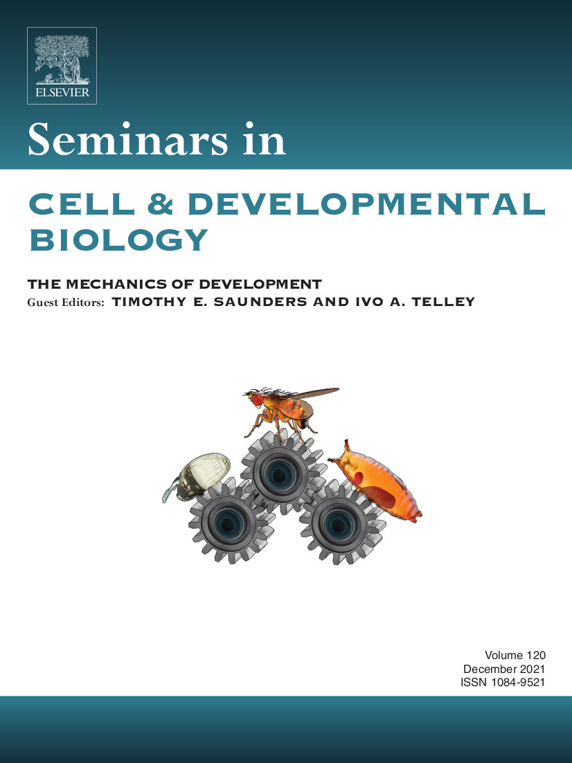 ArtStation - Journal Cover Art - The mechanics of developmental biology