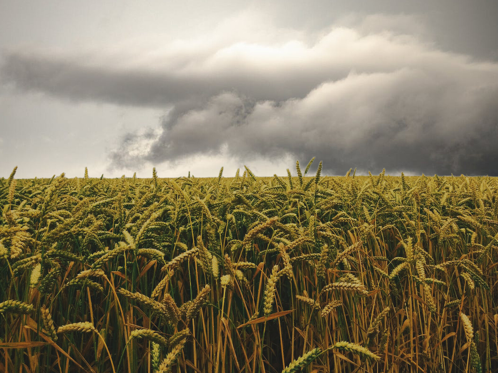 ArtStation - Rolling In