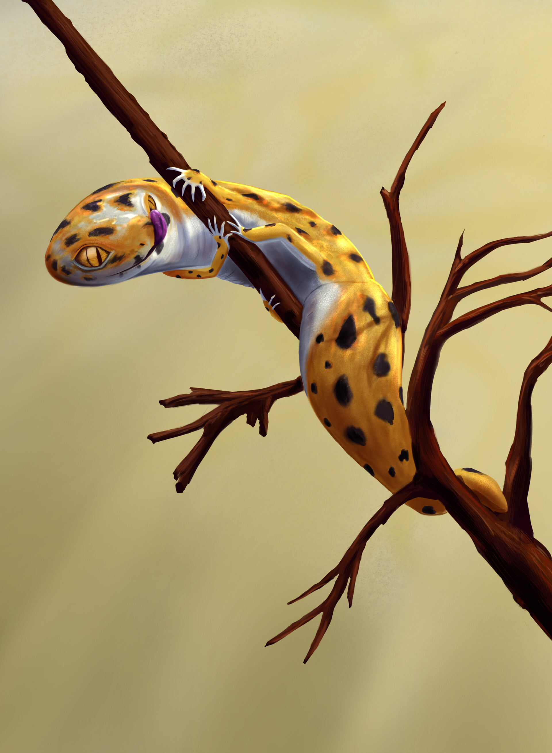 ArtStation - little gecko