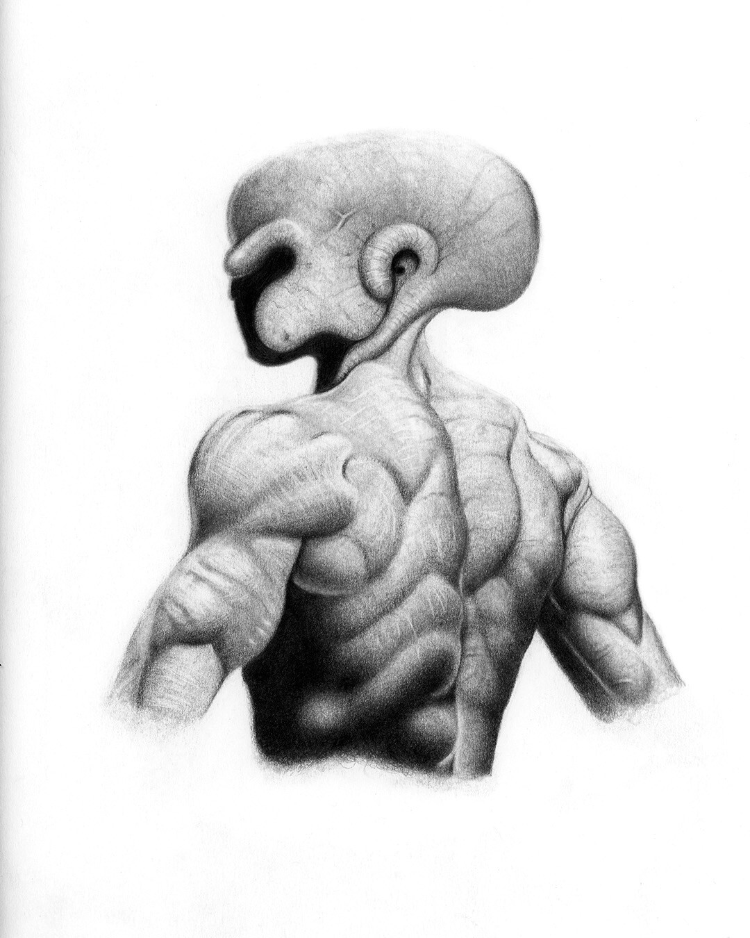 ArtStation - Untitled