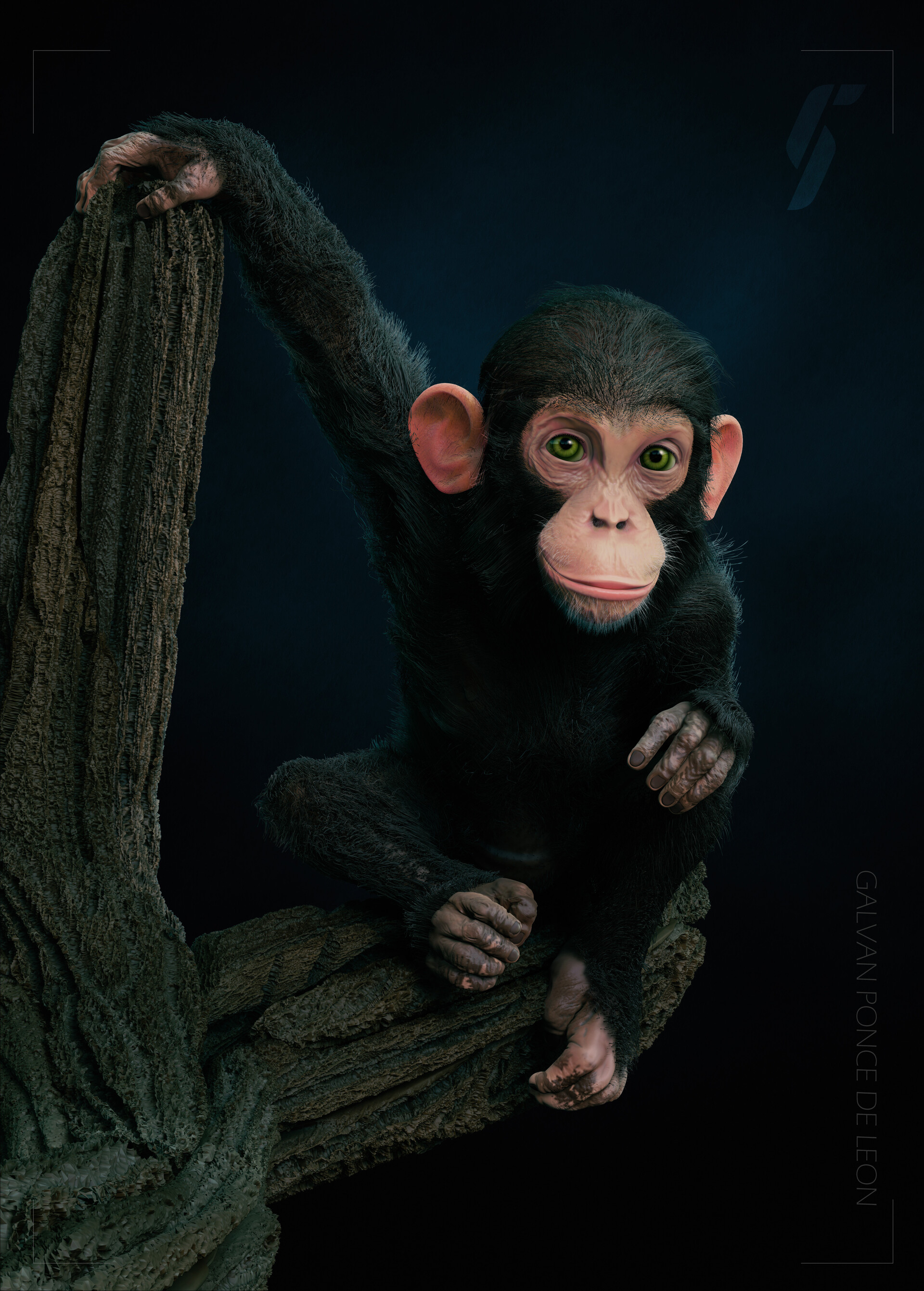 Yonathan G Ponce - Apes Assembled