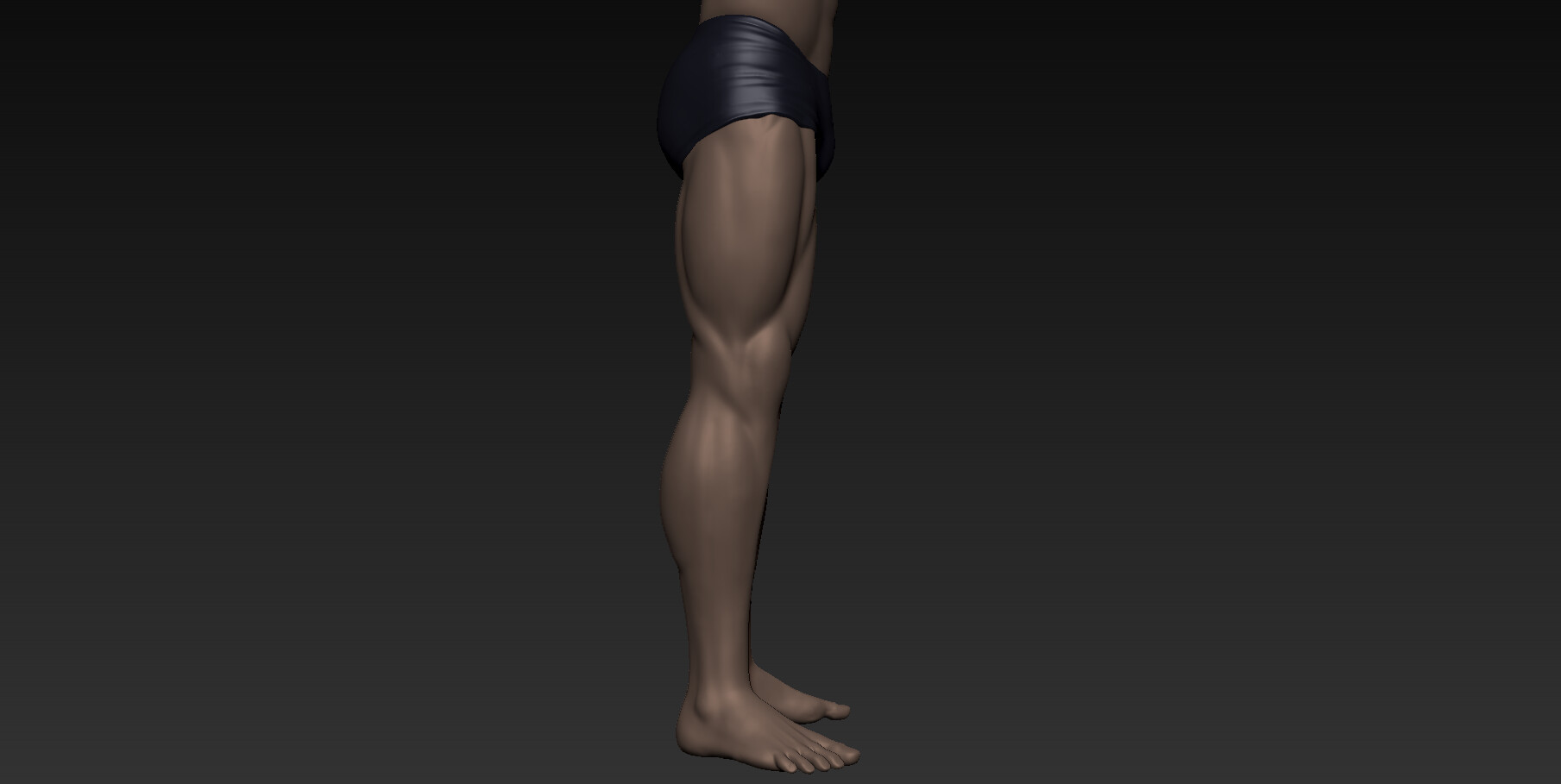 Ramanan D.Titus - Anatomy Study #4 (Form, Shape & Structure of the ...