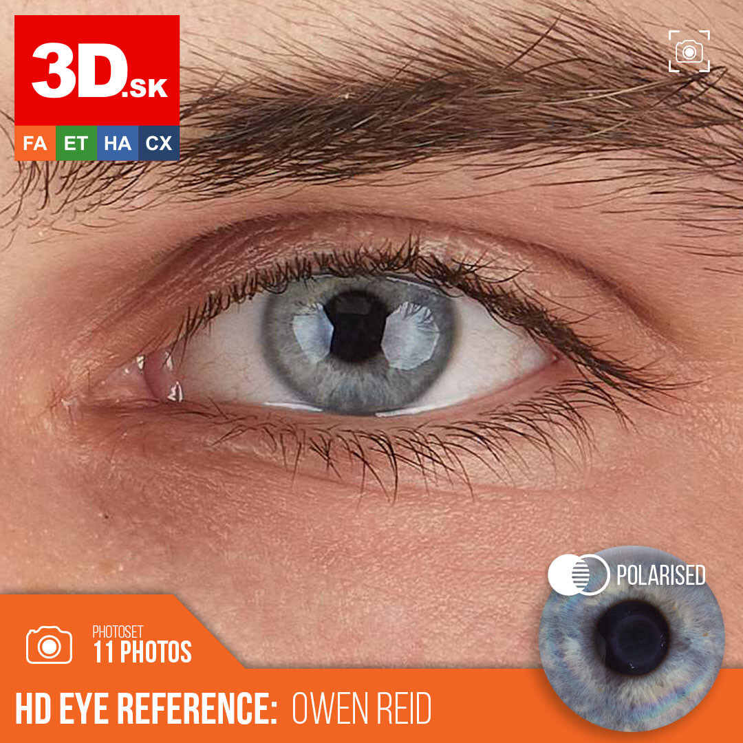 3D.SK - Explore our HD eye references.