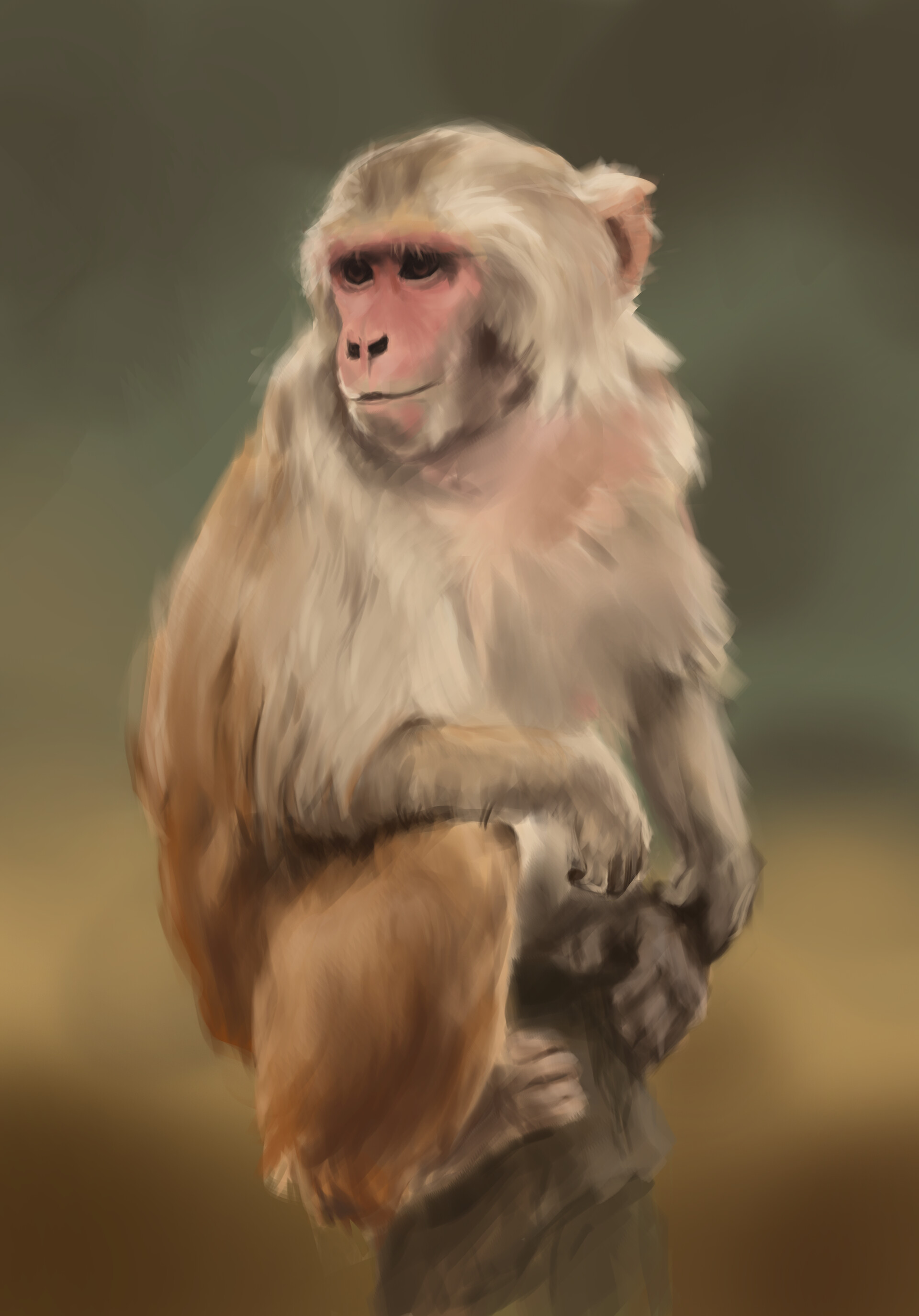 ArtStation - monkey