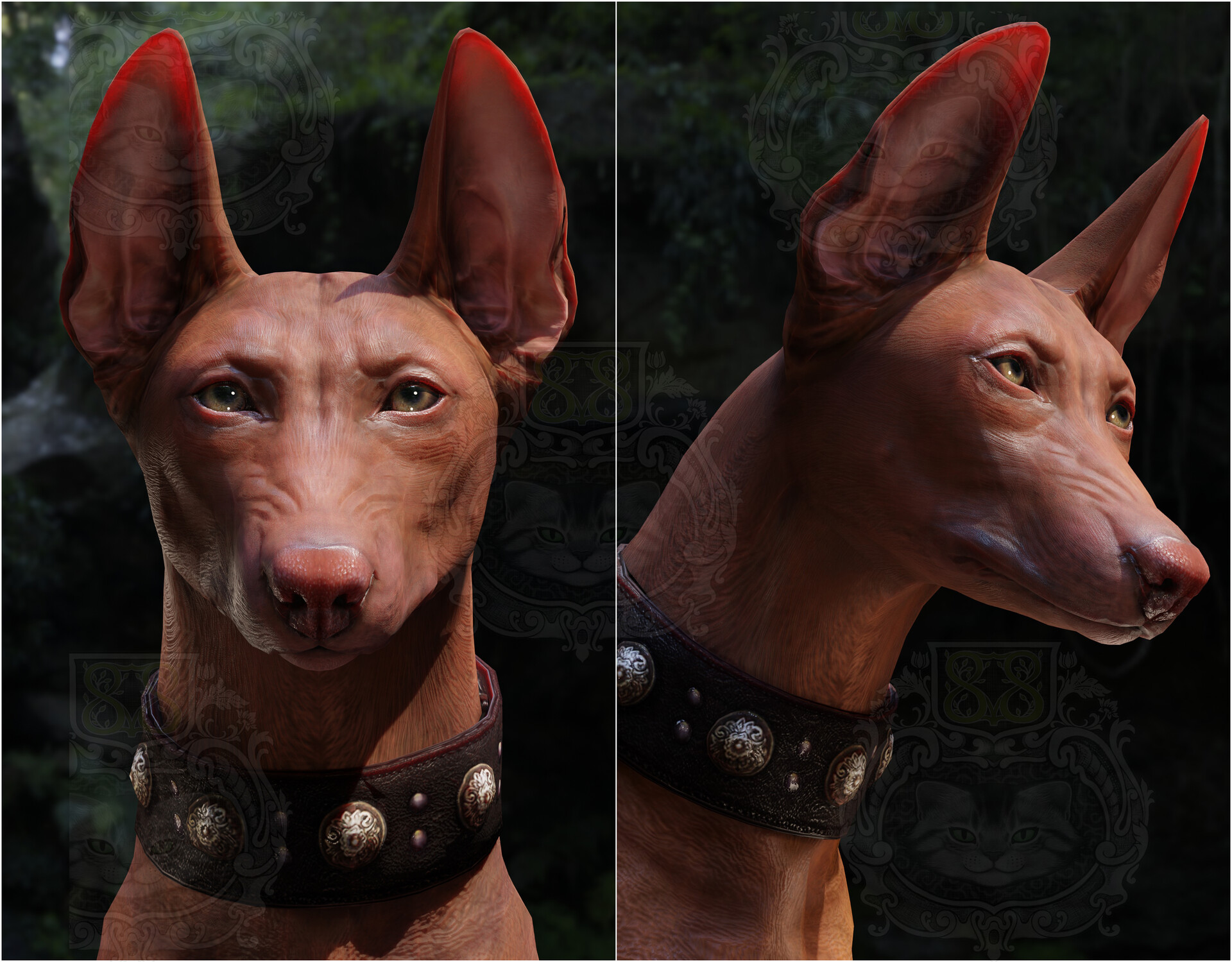 Pharaoh Hound Doberman Mix