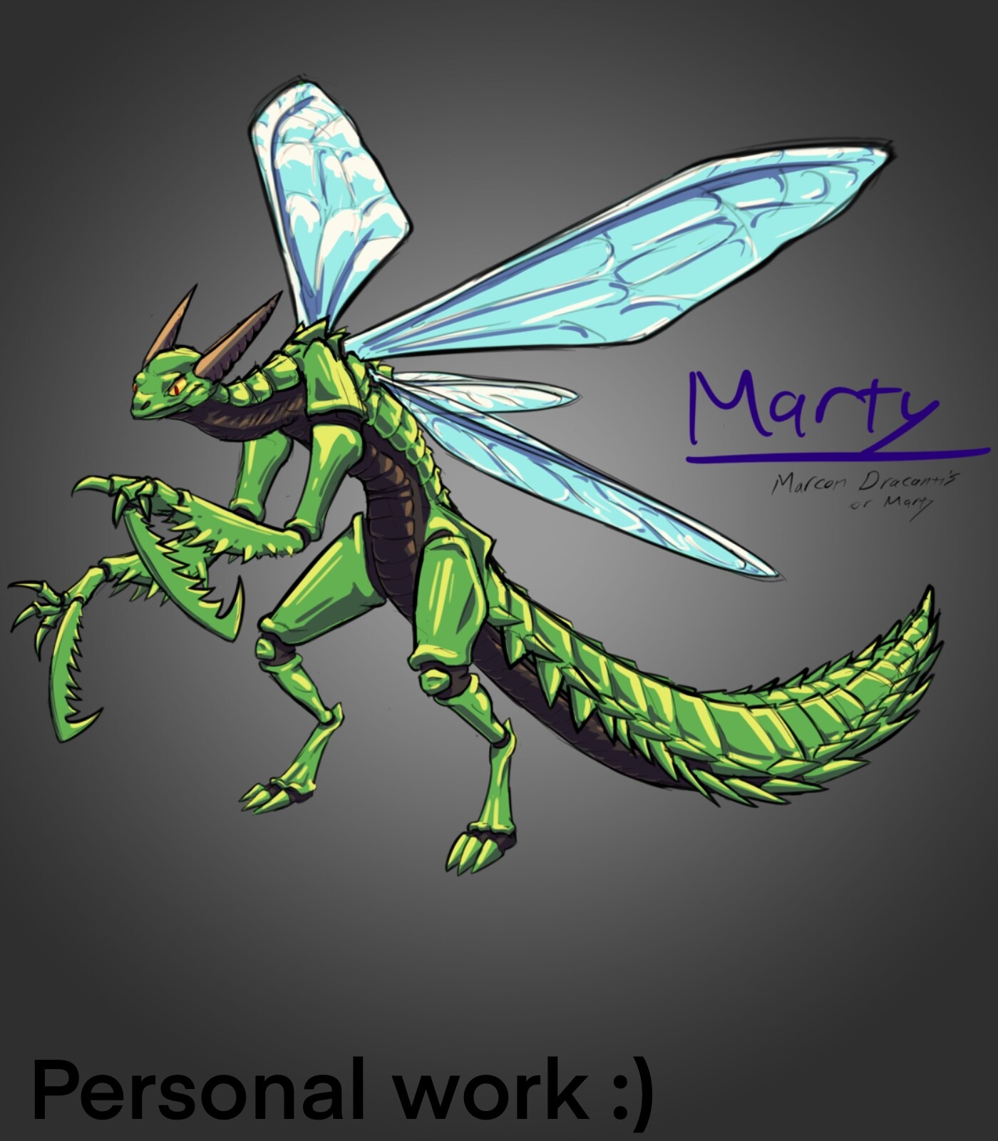 Joel Gardner - MrFancySnail - Dragons based of various creatures