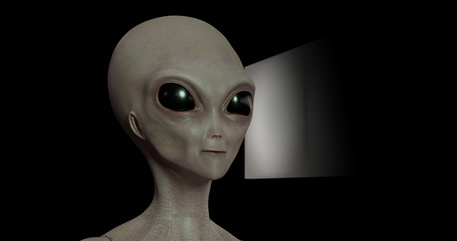 E.T species - E.T Species - Greys