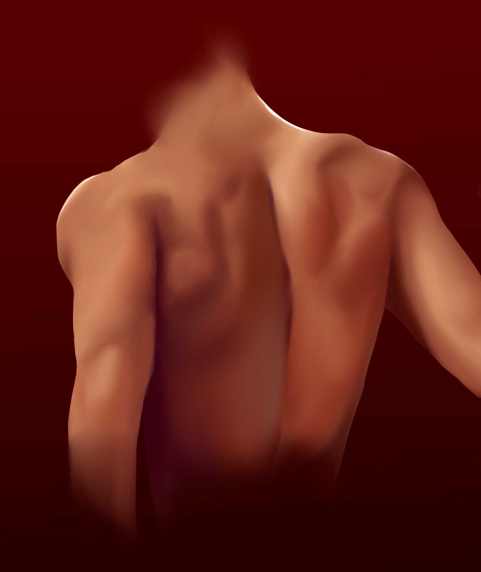 ArtStation - Back study
