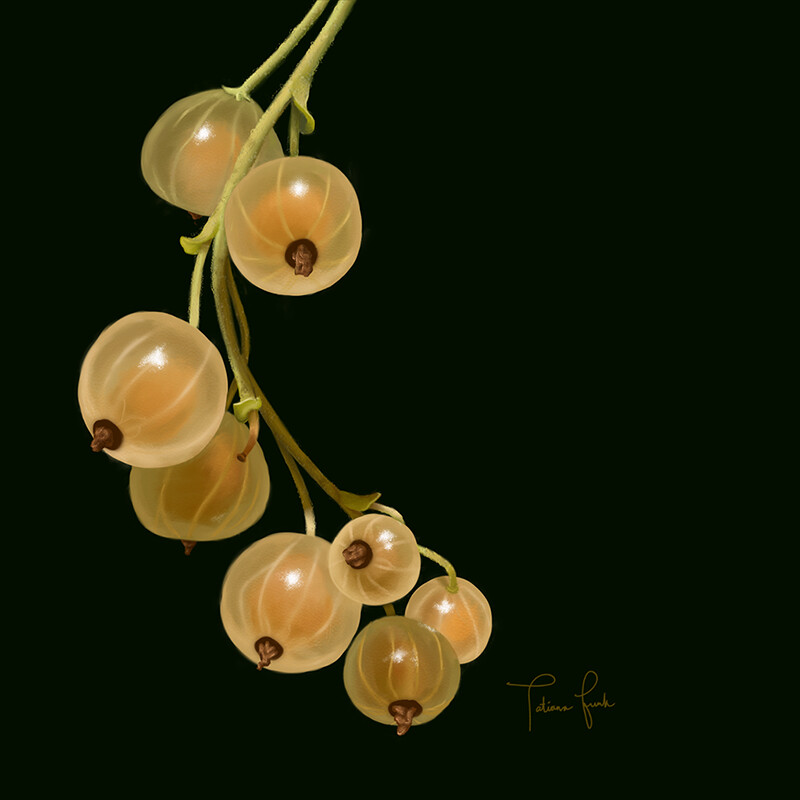 ArtStation - White Currant
