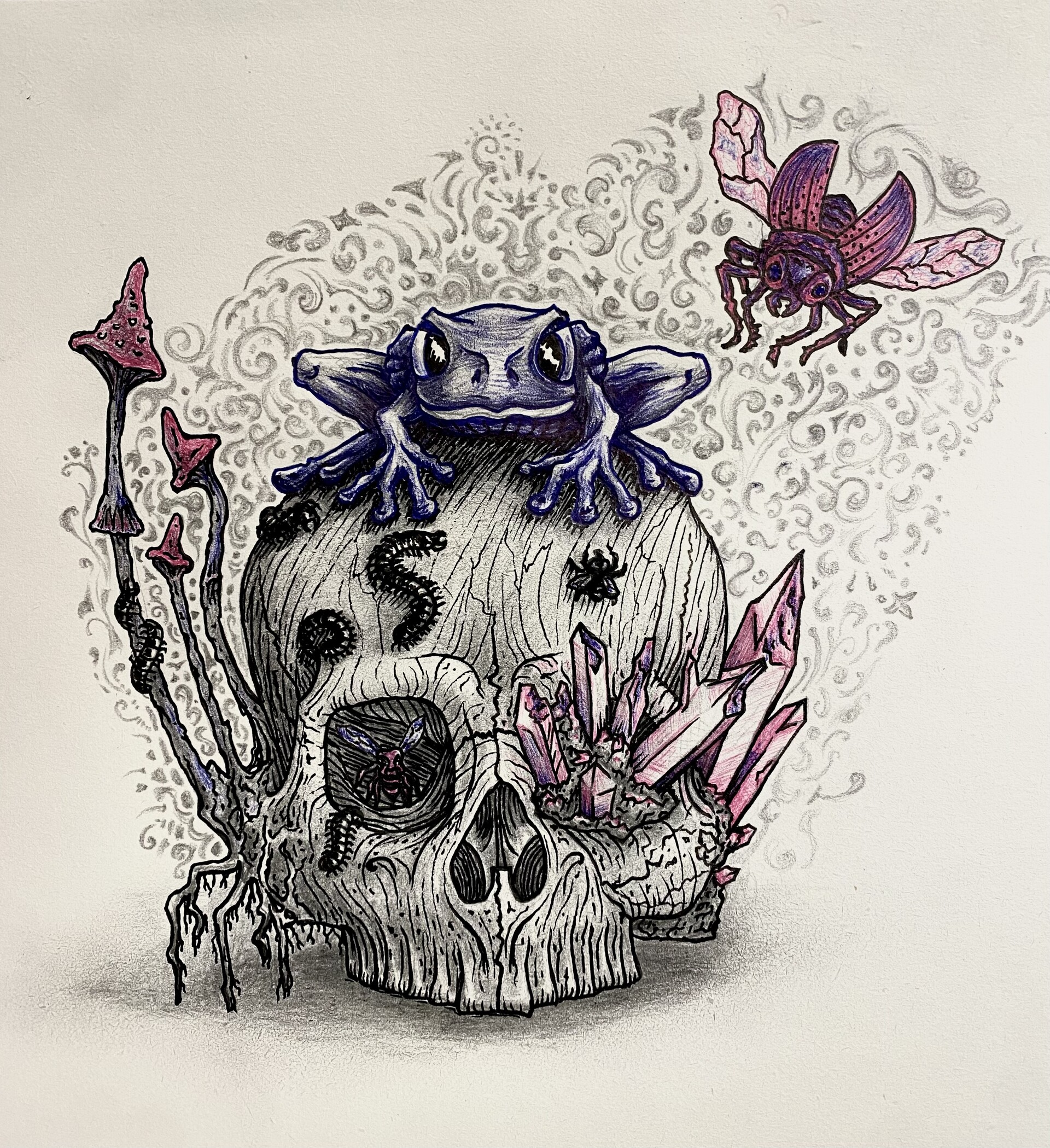 ArtStation - Sketch of skull