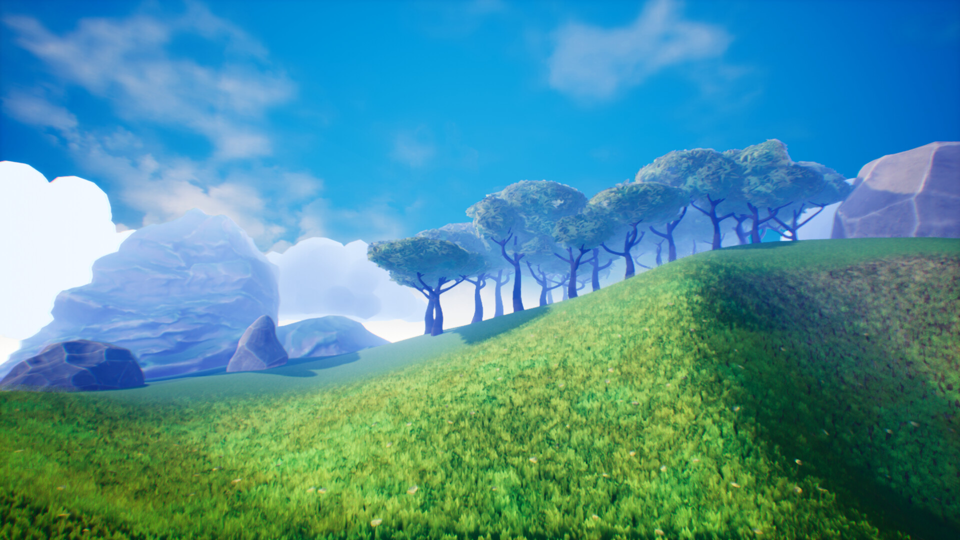 Carlos Cardenas - White flower field