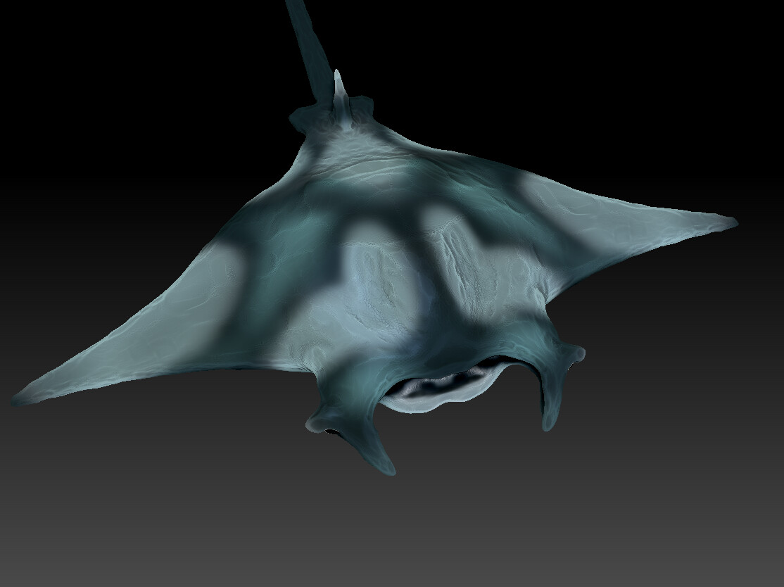 ArtStation - Manta Ray Sculpt (Work In Progress)