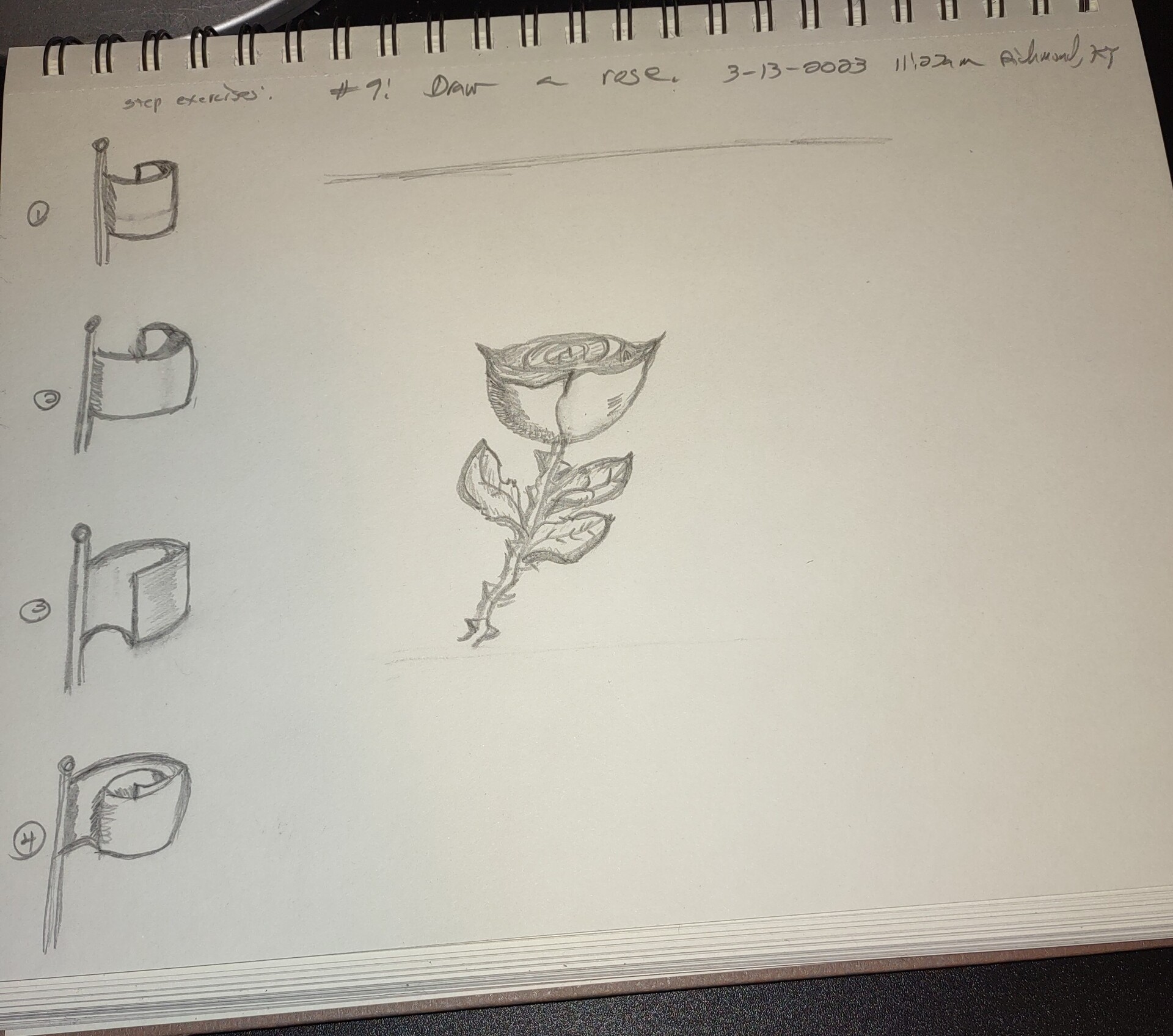 ArtStation - Rose exercise