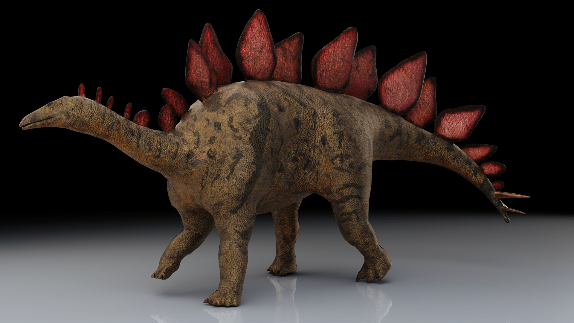 ArtStation - Stegosaurus