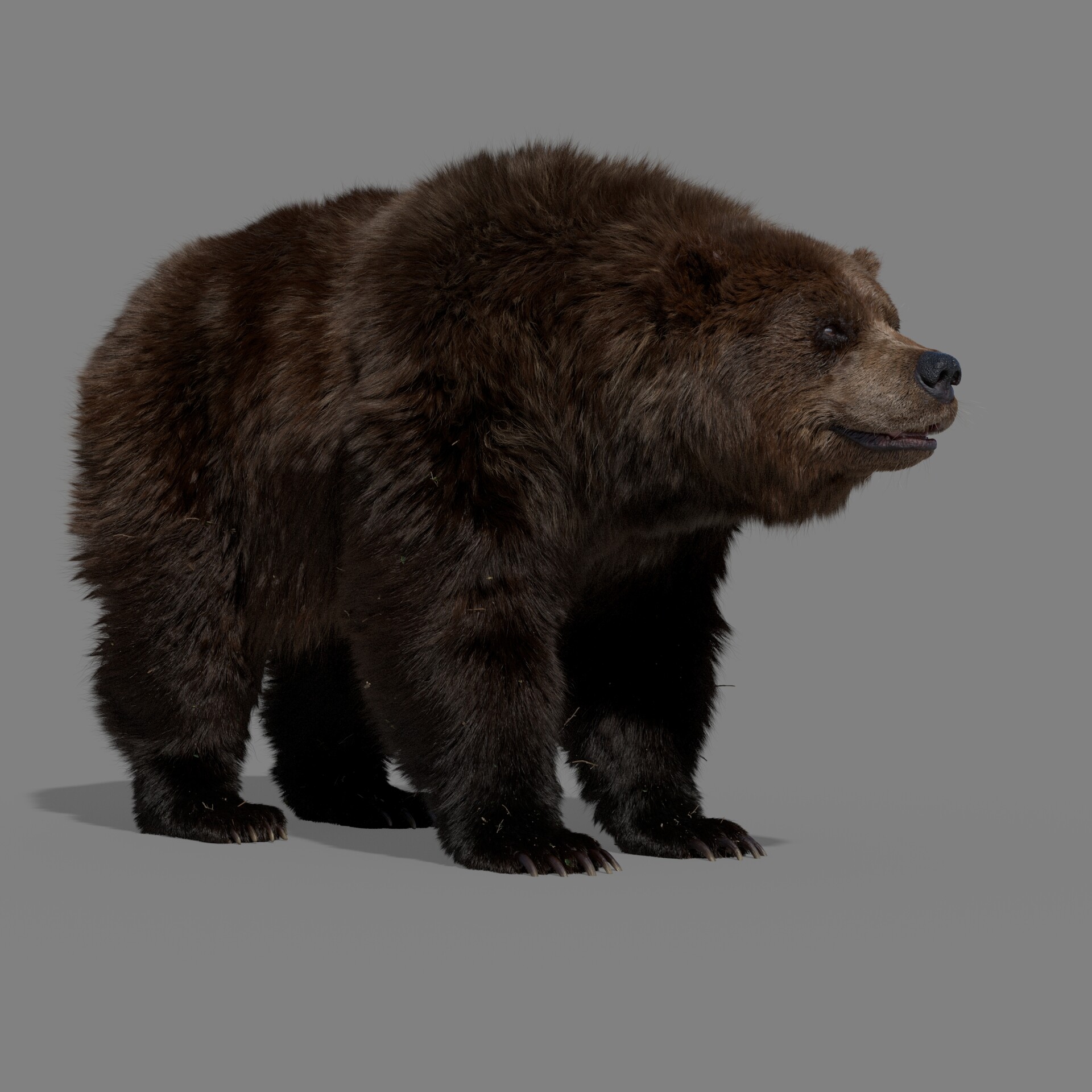 ArtStation - Bear Muscle Simulation - Ziva Dynamics
