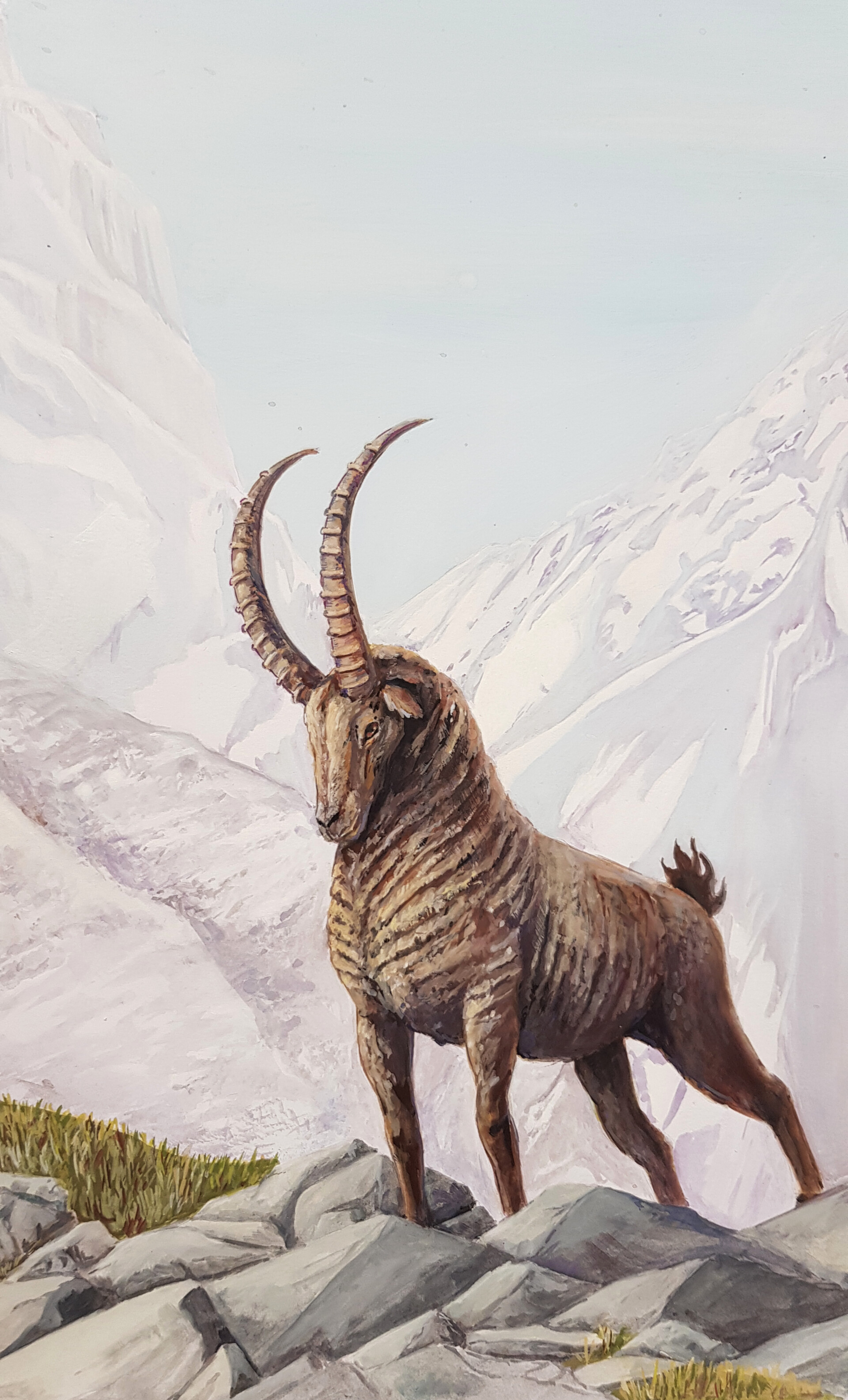 ArtStation - Ibex