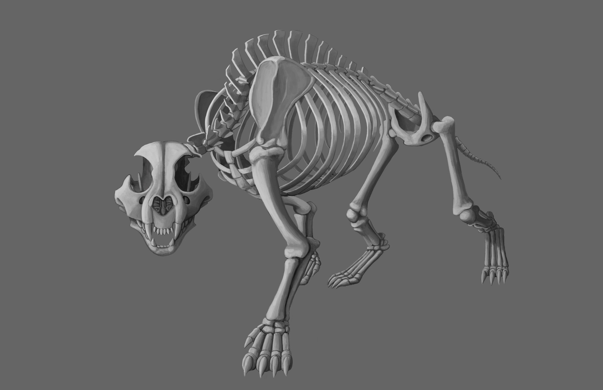 ArtStation - Anterior Hybrid Skeleton