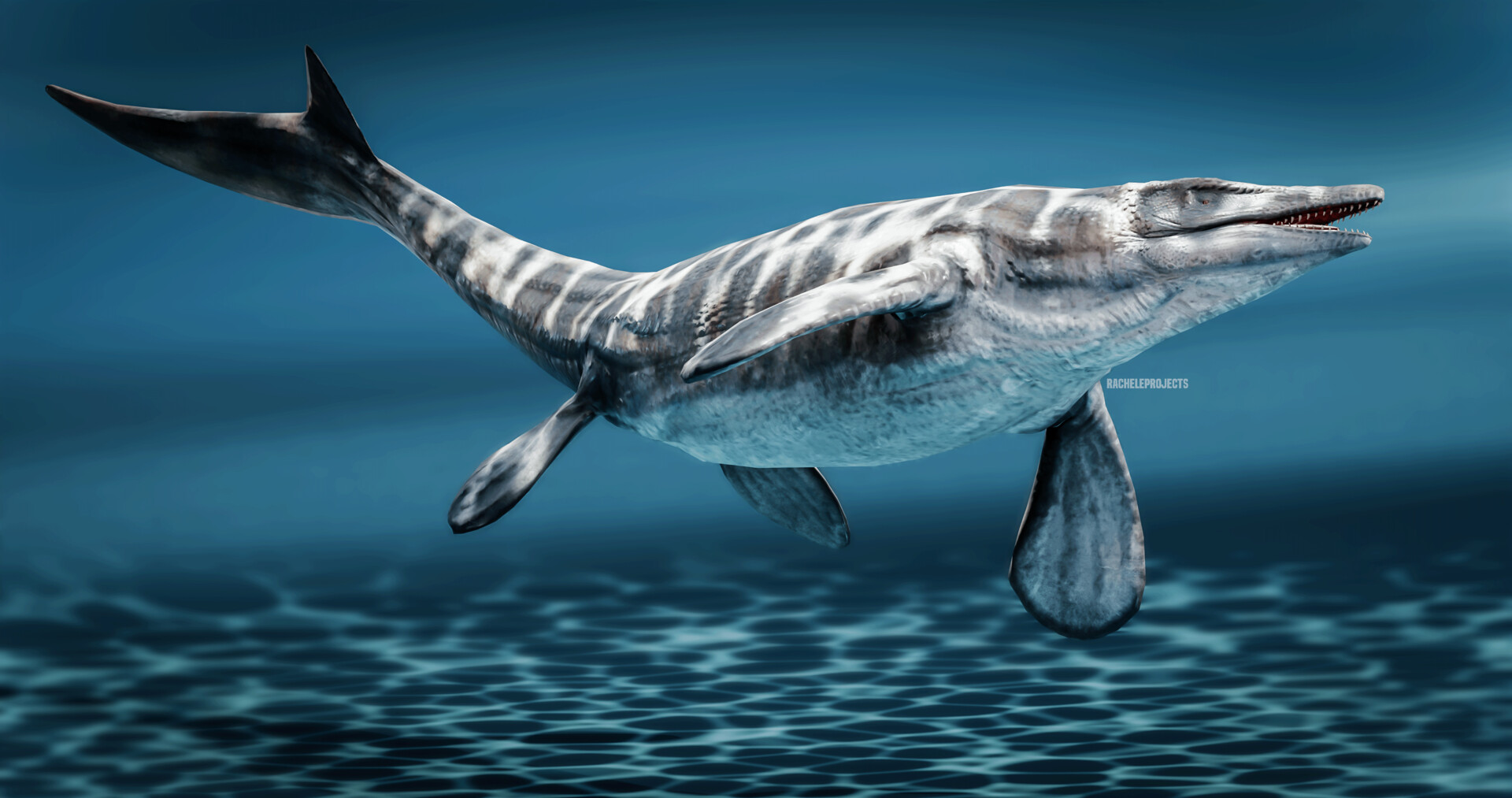 ArtStation - Mosasaurus "Lizard of the Meuse River"