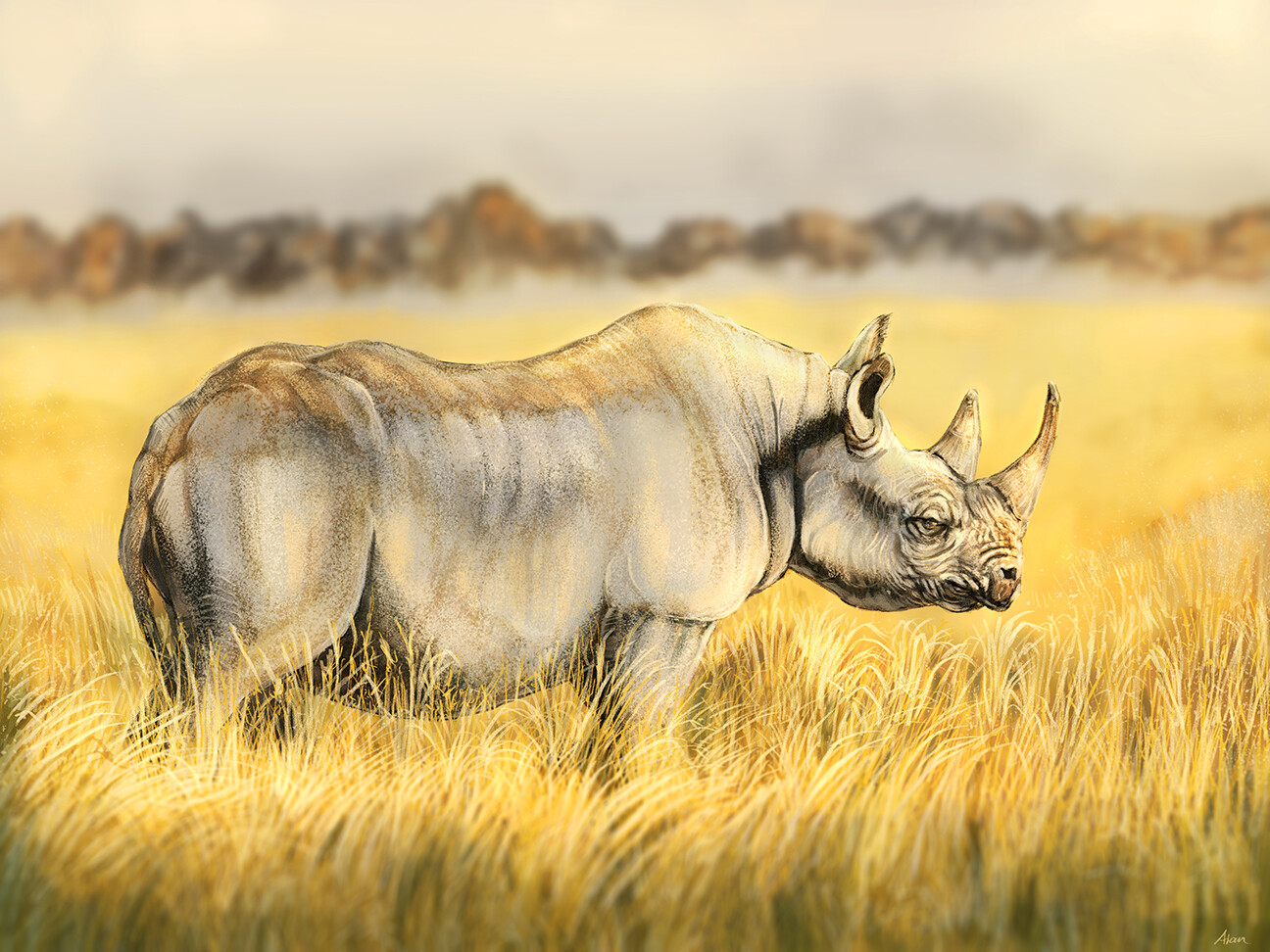 alandodrawing - White Rhinoceros
