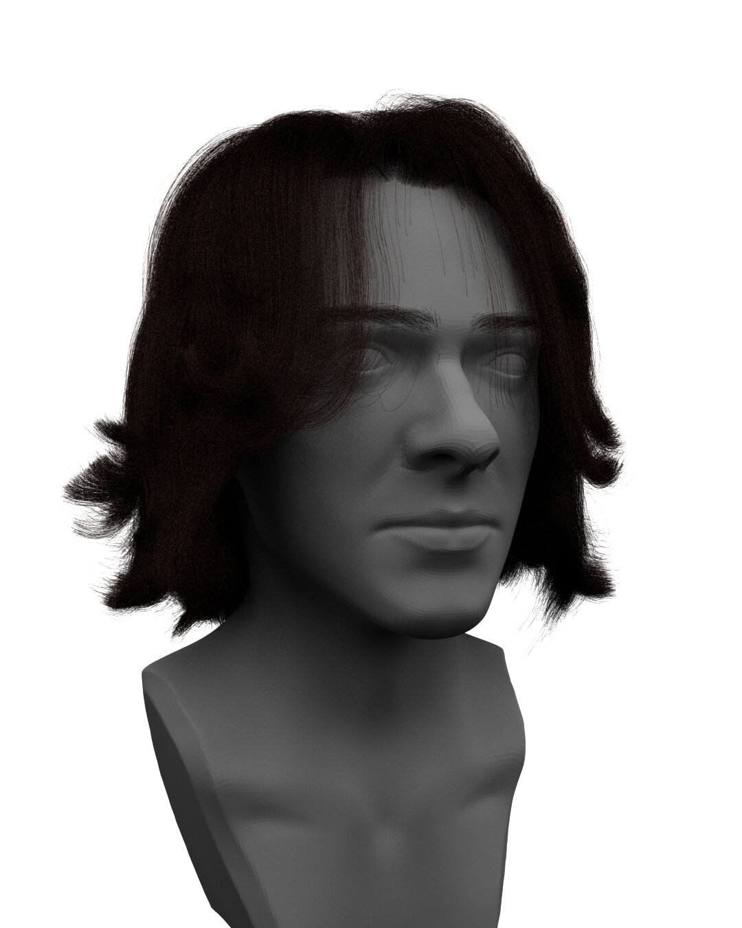 Owen - Long Hair Study