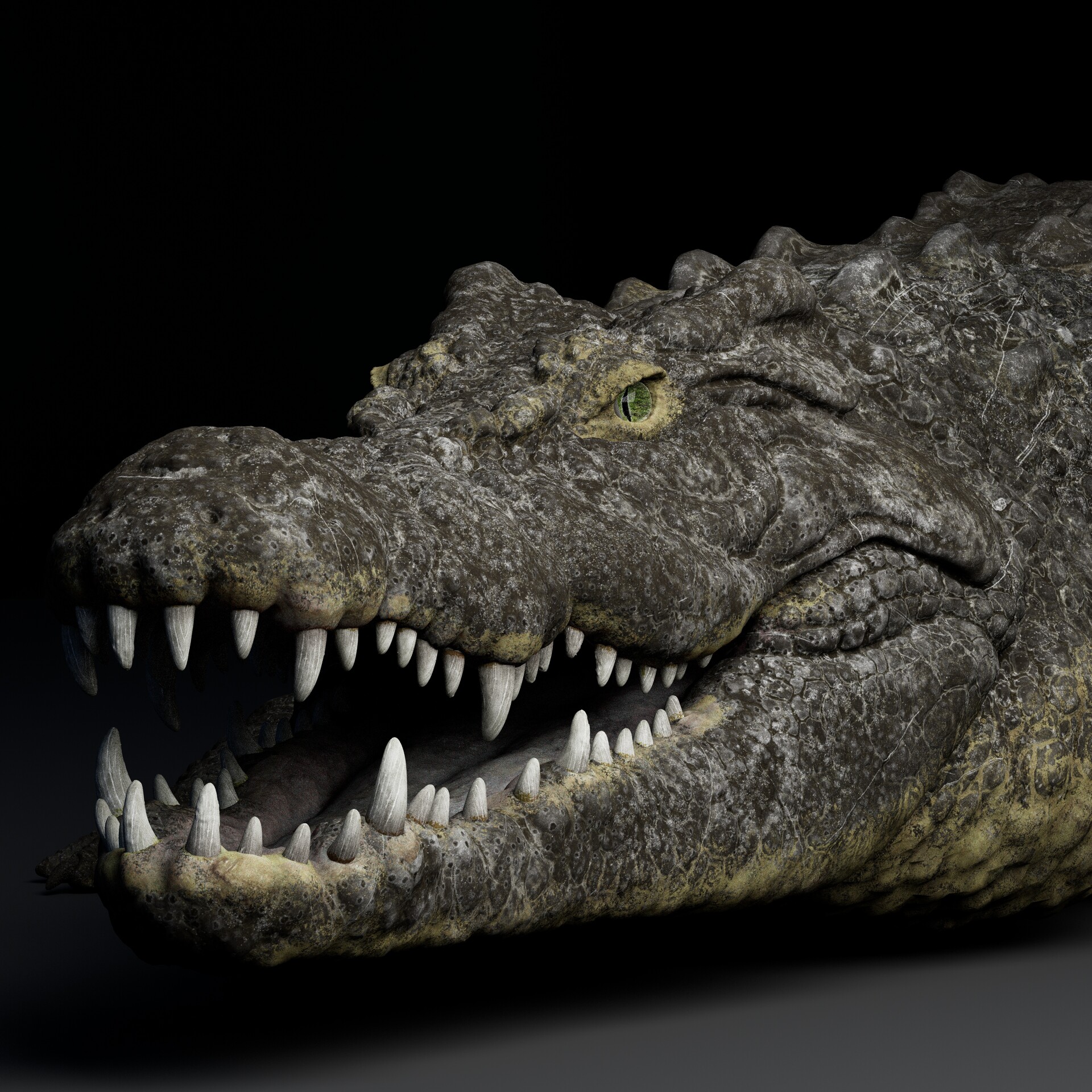 ArtStation - Crocodile texturing
