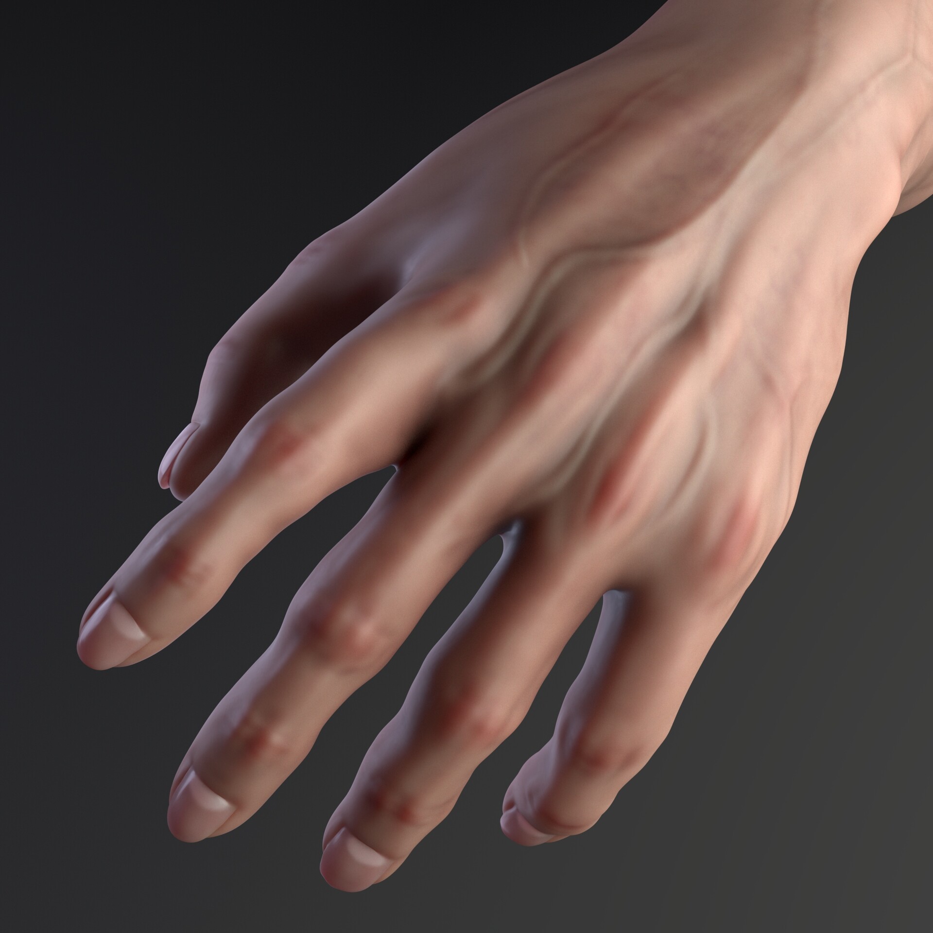 ArtStation - Full Arm Anatomy