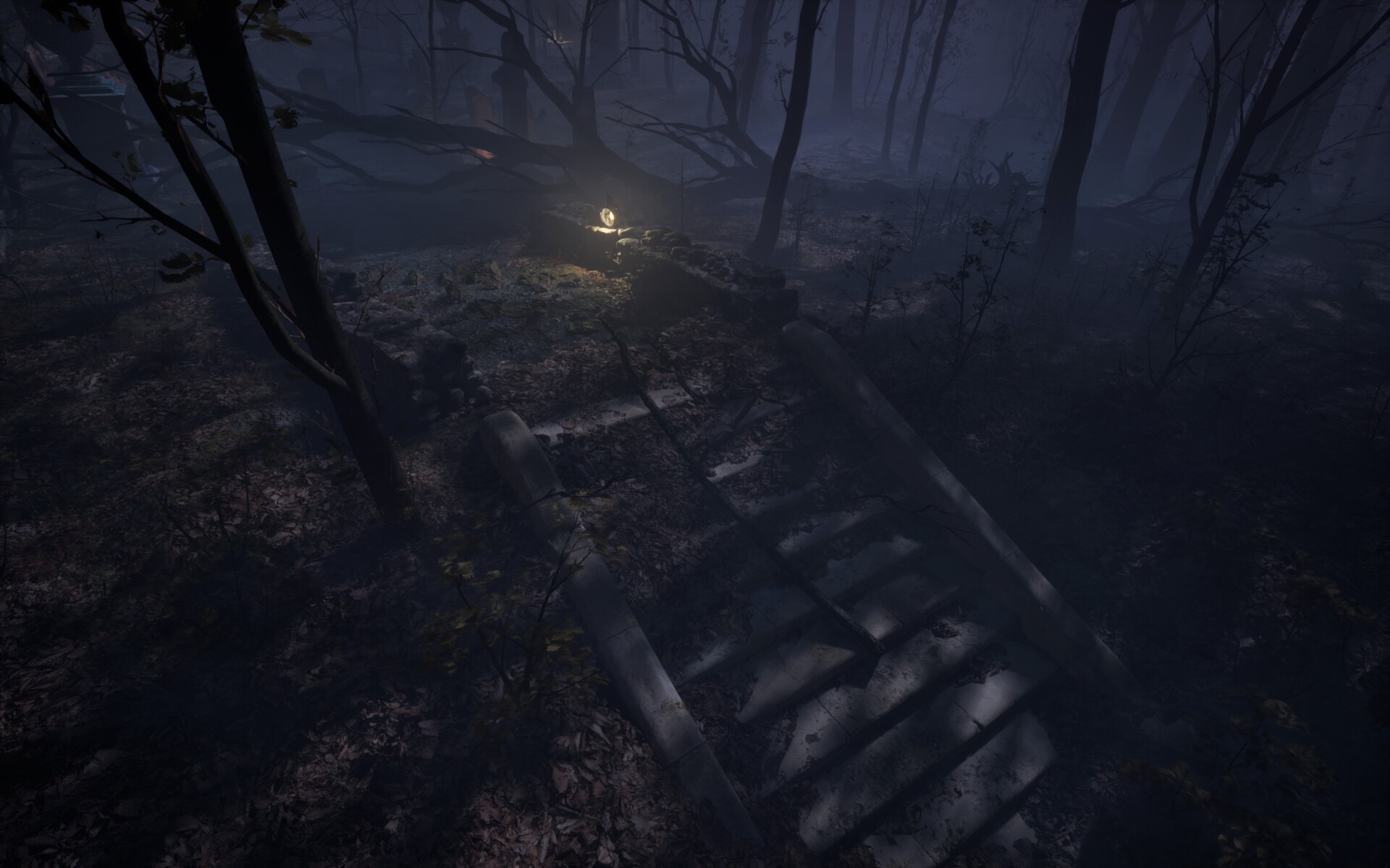 Mostafa Eid - NightHawk - dark forest