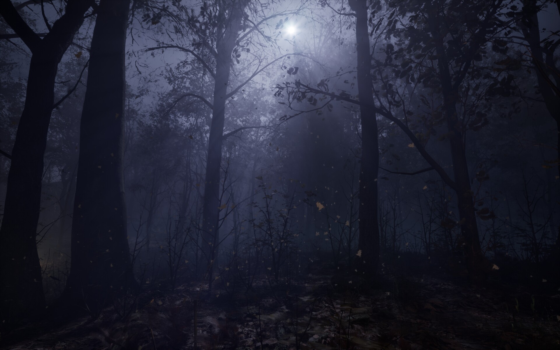 Mostafa Eid - NightHawk - dark forest