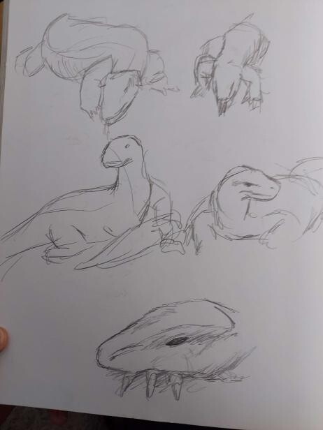 ArtStation - Assorted Animal Studies