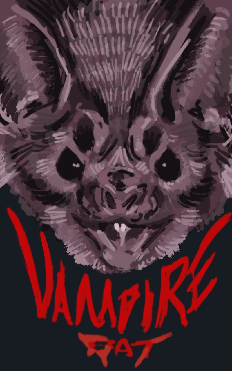 ArtStation - Design Assignment - Vampire Bat Study