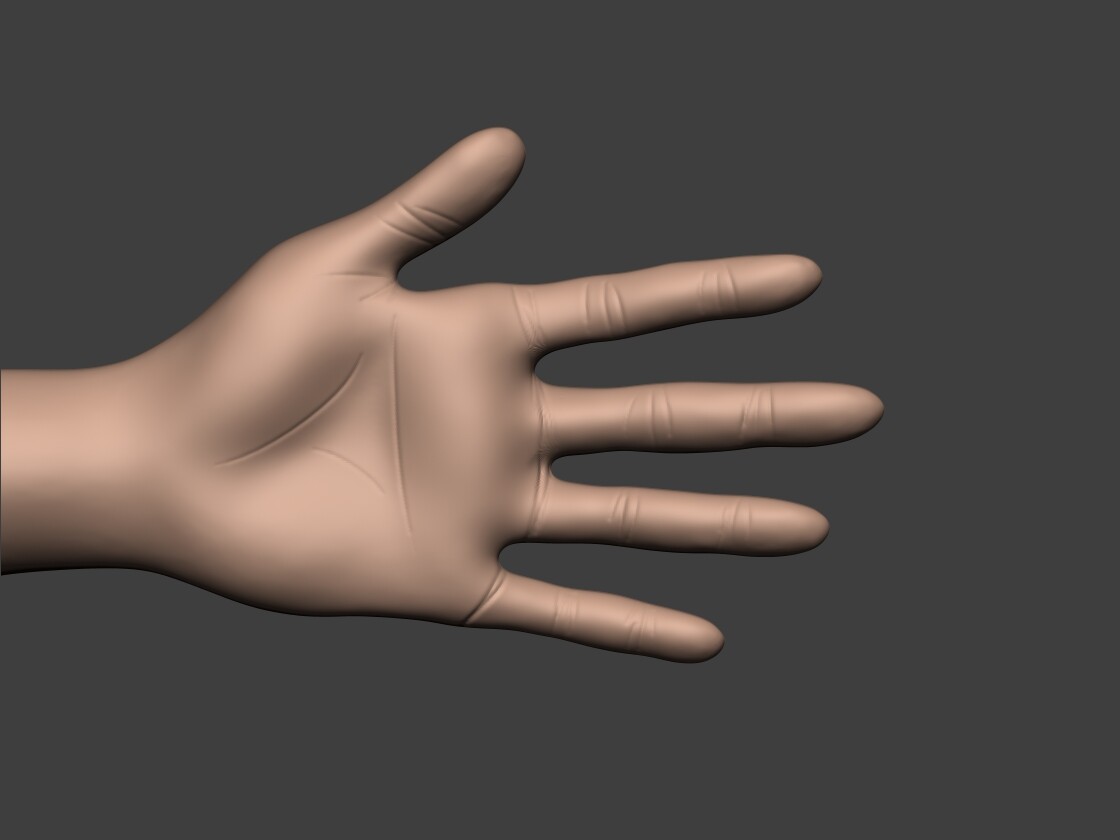 ArtStation - 3D Hand Sculpt
