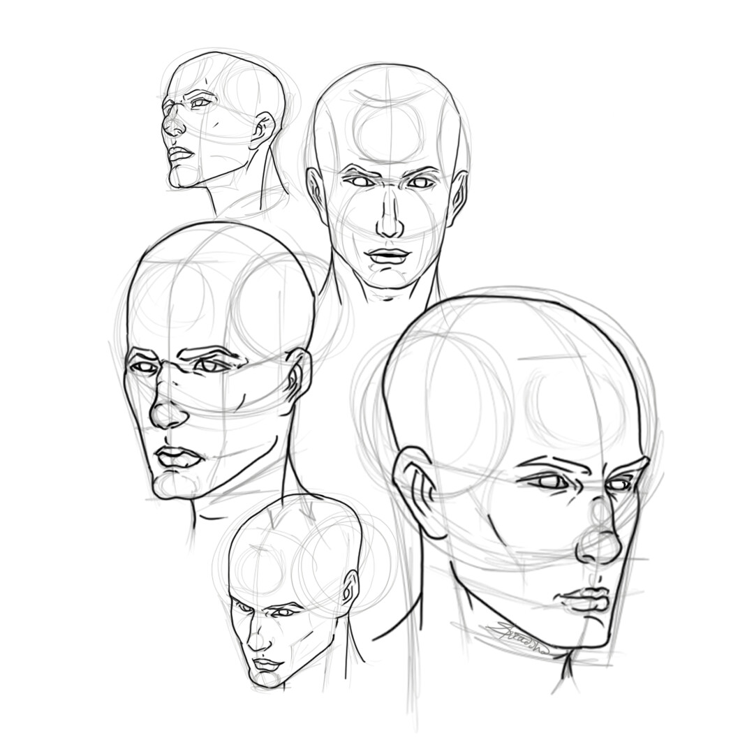 ArtStation - human anatomy