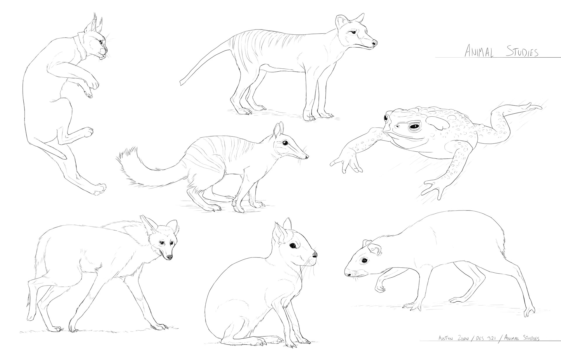 ArtStation - Animal Studies