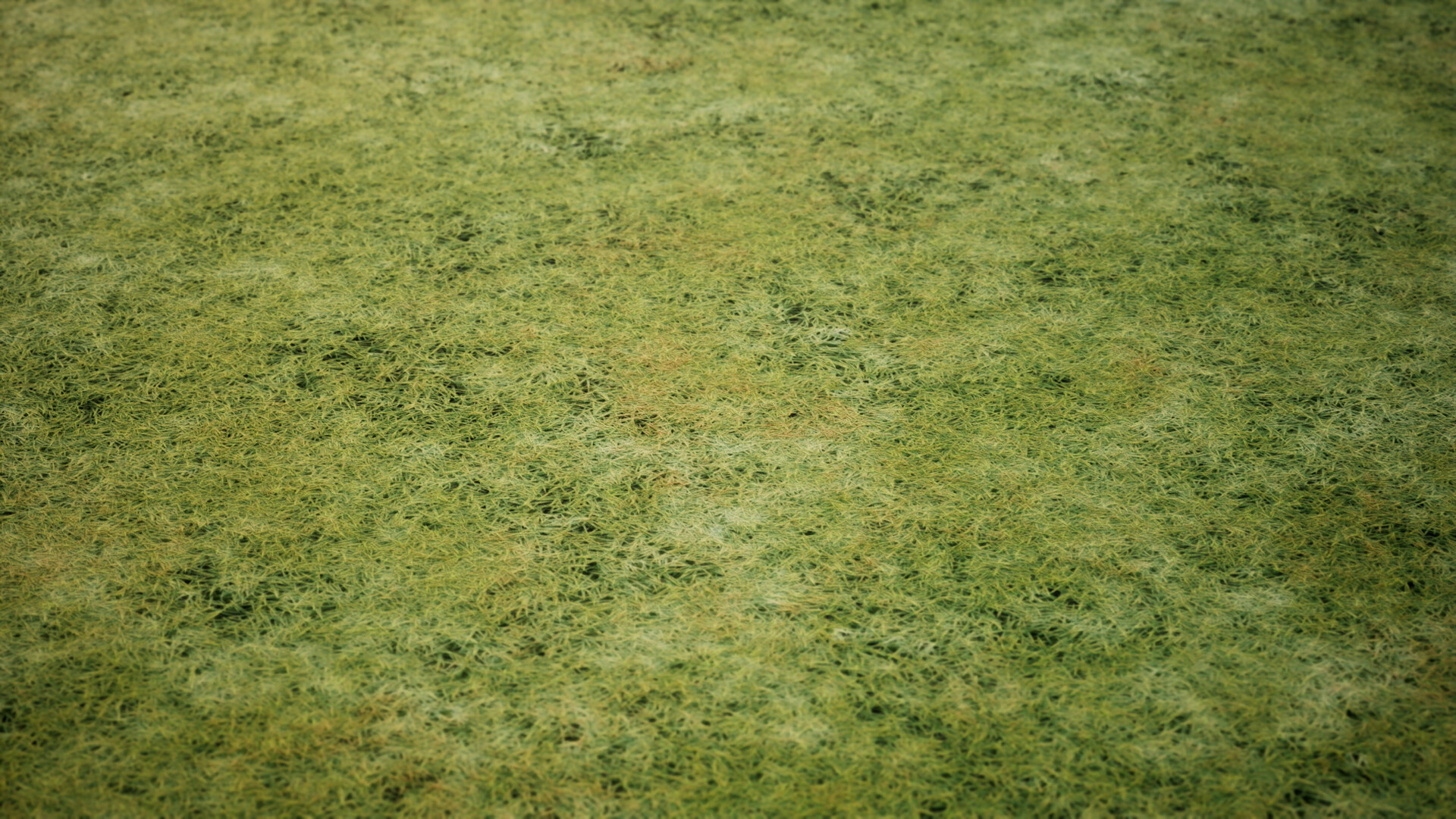 Grass Texture Photoshop