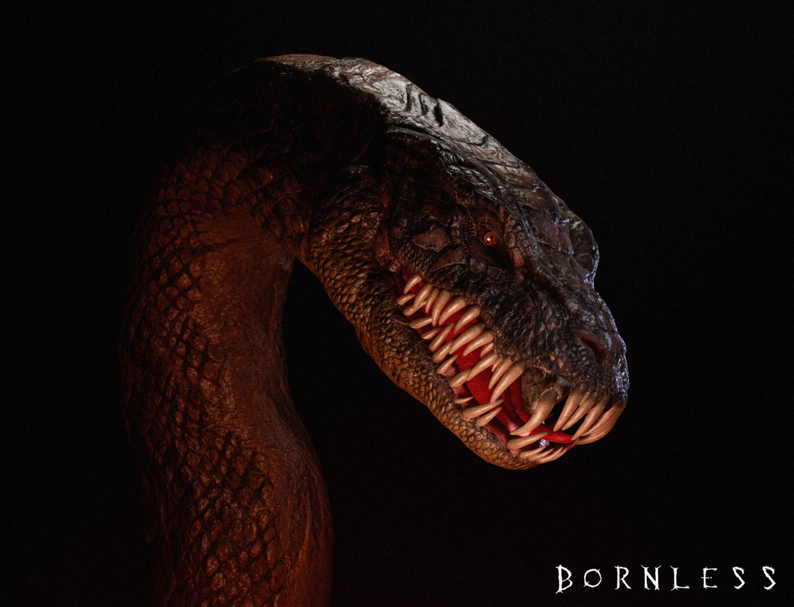 Cathedral Studios - BOTIS