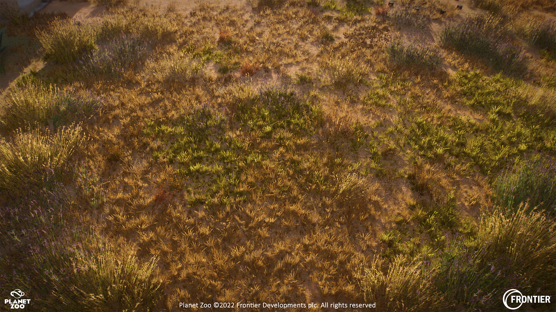 Matthew Stevens - Planet Zoo - Grasslands Pack Assets