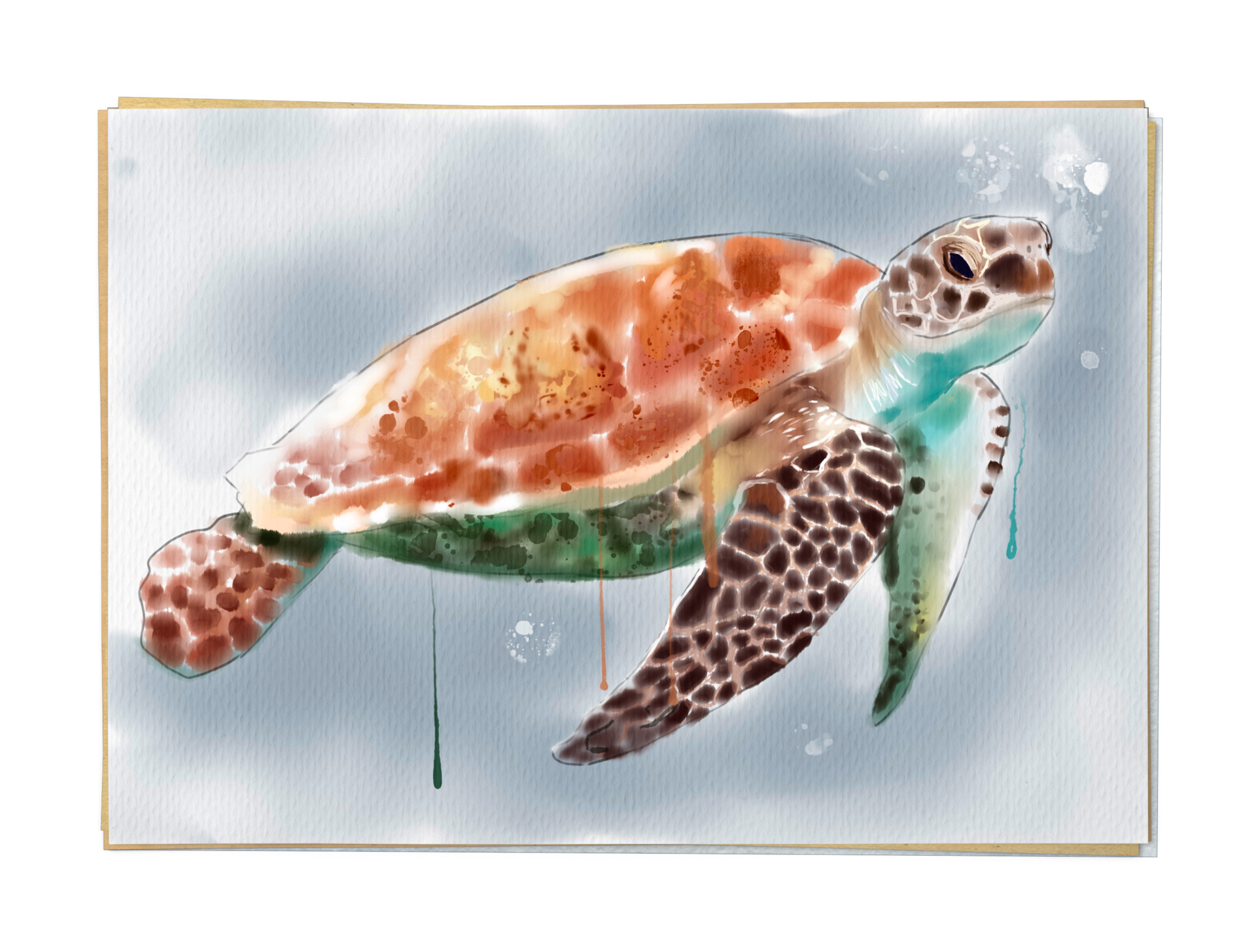 ArtStation - Sea Turtle Study