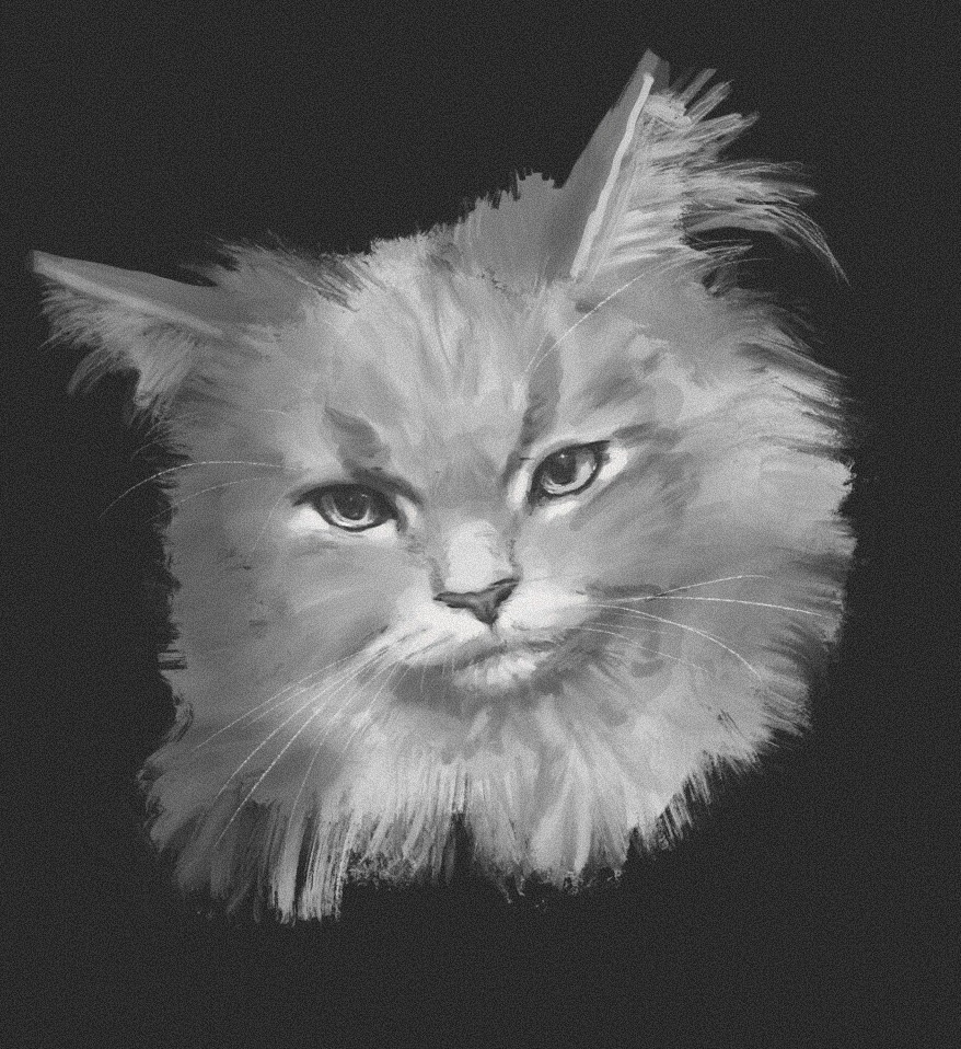 ArtStation - Fuzzy Cat