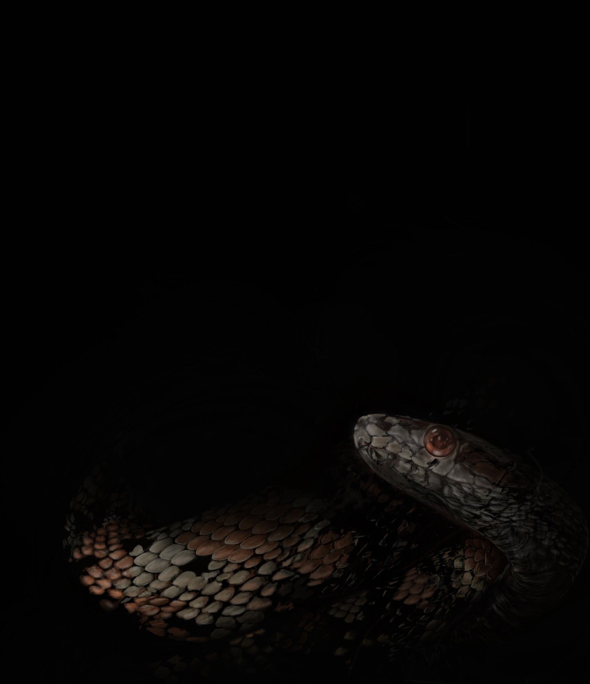 ArtStation - Snake
