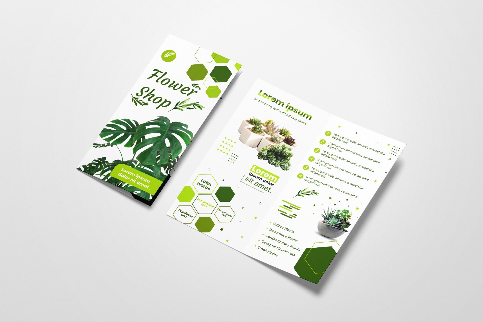 ArtStation - Pamplet design 🍃