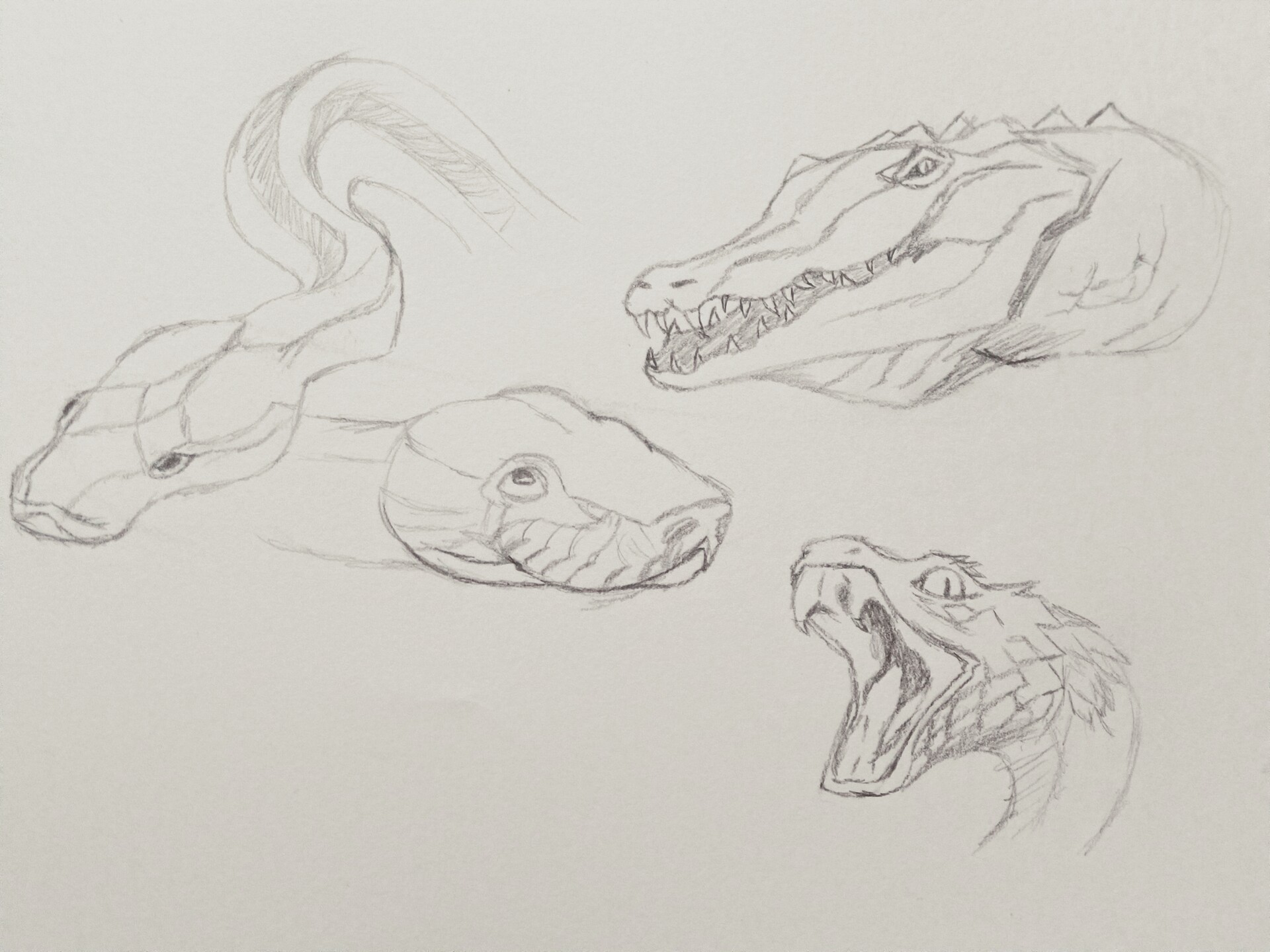 ArtStation - Reptiles