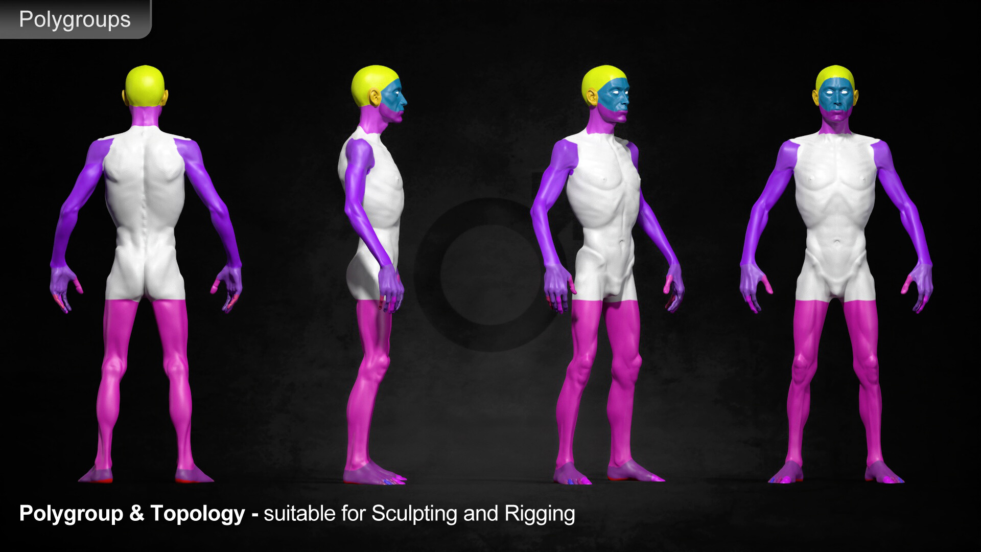 Gk ZPN - Human Male [ Body/Skin Basemesh ] Skinny