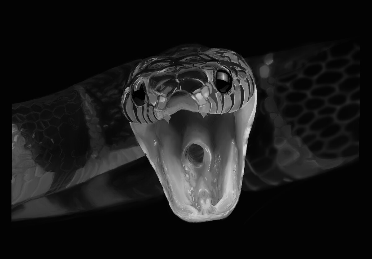 Warren Anderson - Digital Snake Study (30+ Hours)