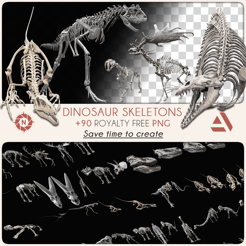 Nomad Photo Reference - PNG Photo Packs Collection 51 to 60