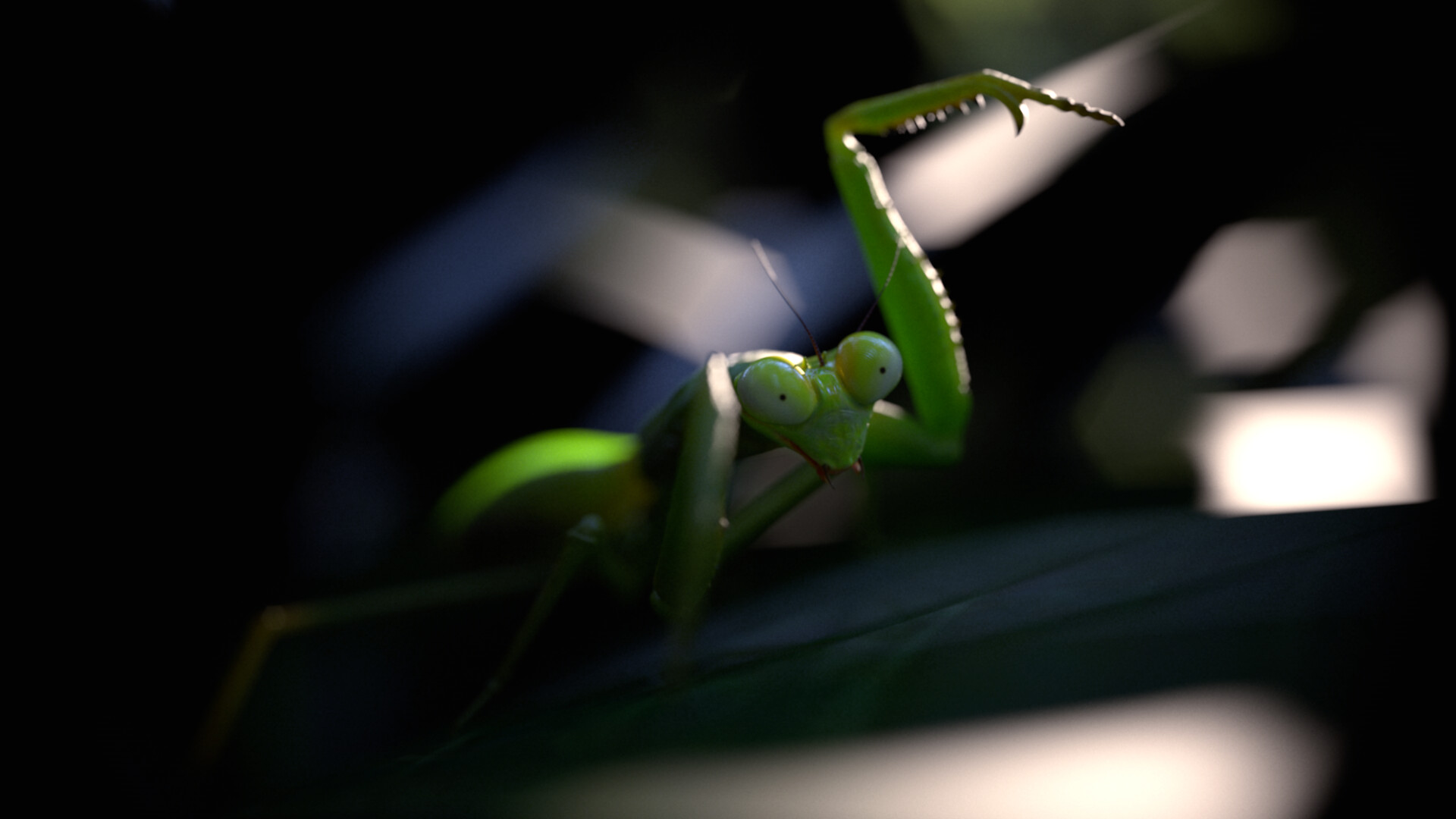 ArtStation - Praying Mantis