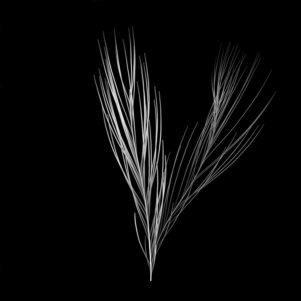 Peter Roe - Dendrils Substance Node