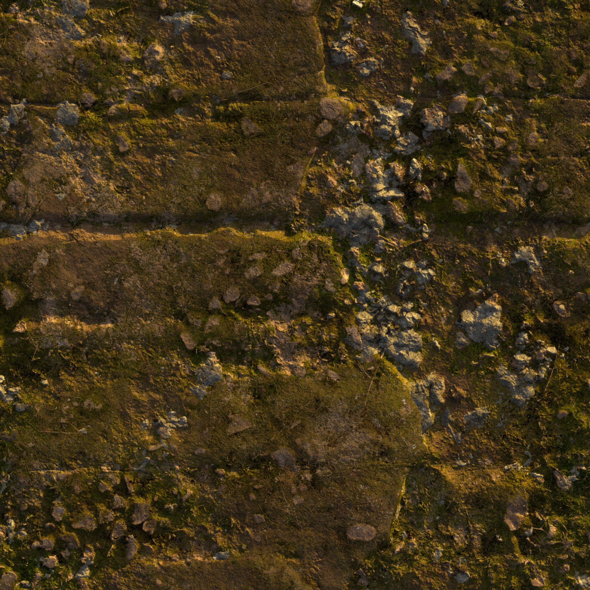 John Rettig - Custom Materials 'Overgrown Ancient Floors'